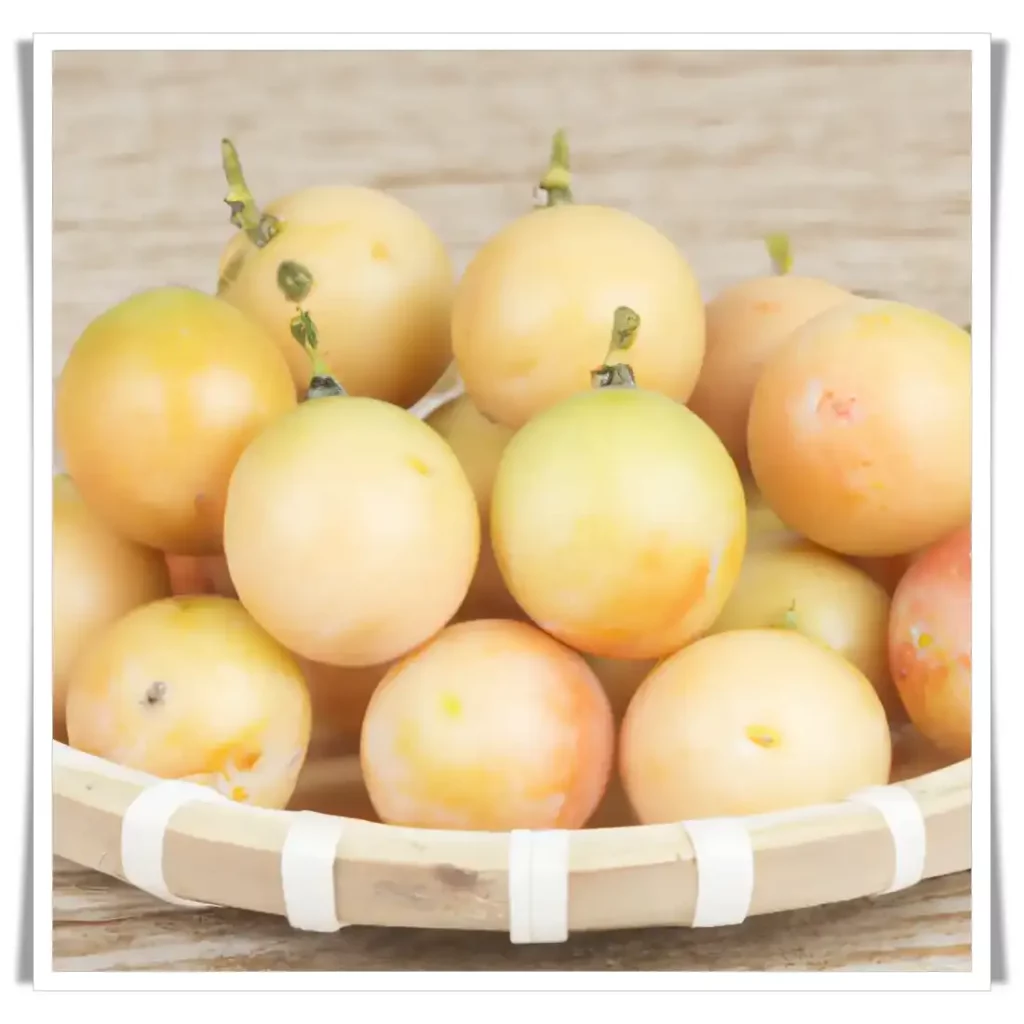 Kakadu Plums. The Best Benefits - bc-educate