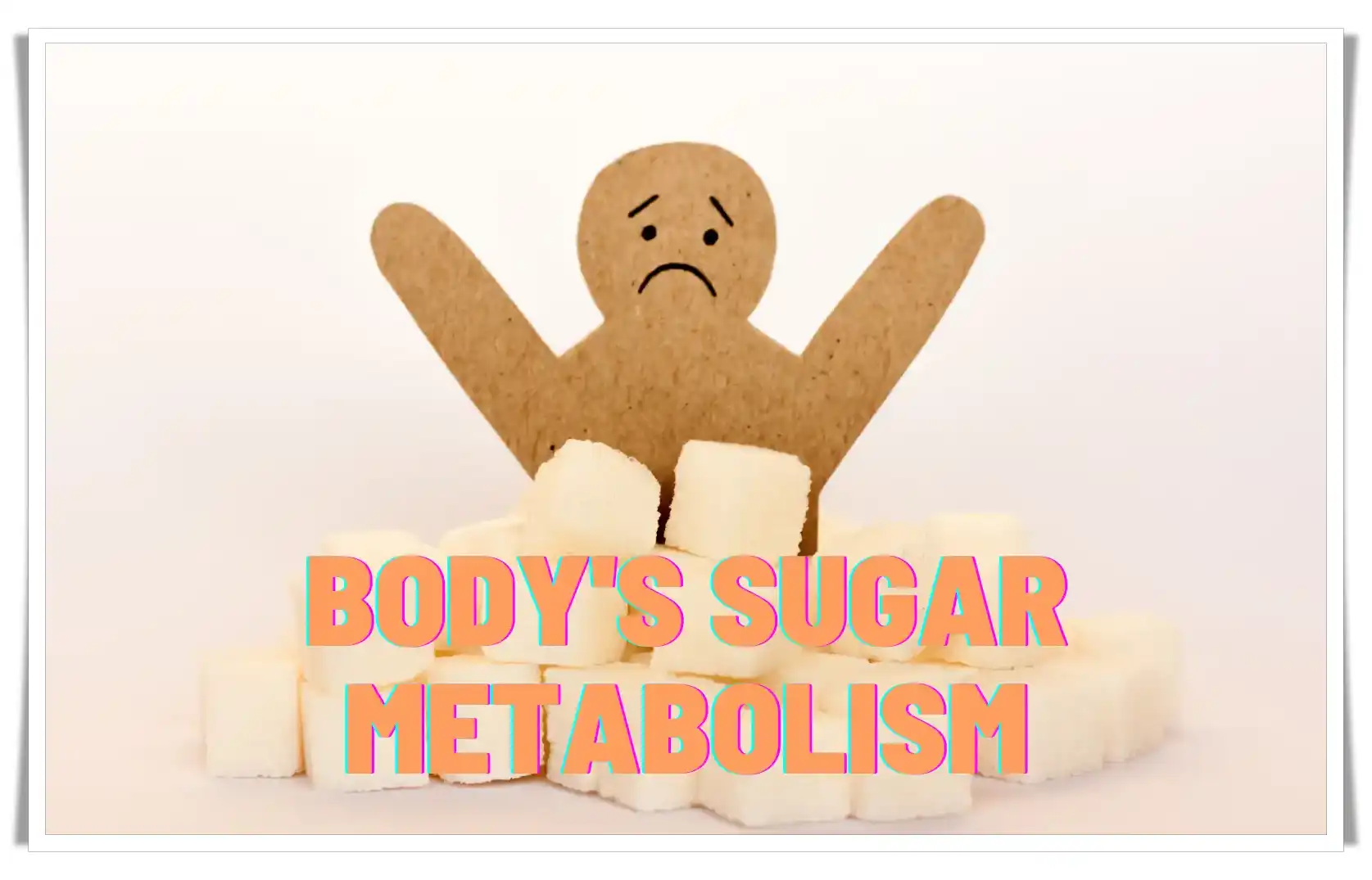 Sweet Science: Unlock the Secrets of Your Body's Sugar Metabolism for ...